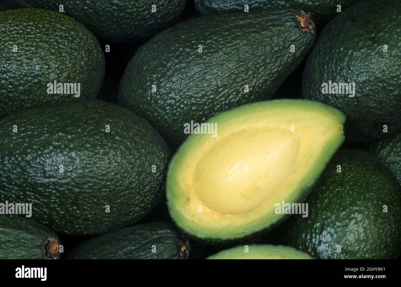STUDIO IMAGE OF WHOLE AND A HALVED AVOCADO (PERSEA AMERICANA) ALSO ...