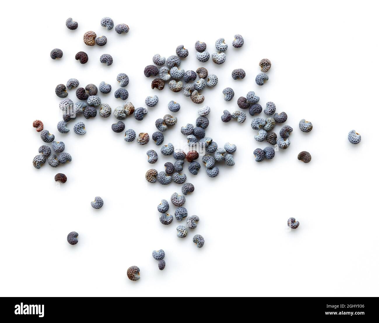 Closeup poppy seeds opium Cut Out Stock Images & Pictures - Alamy