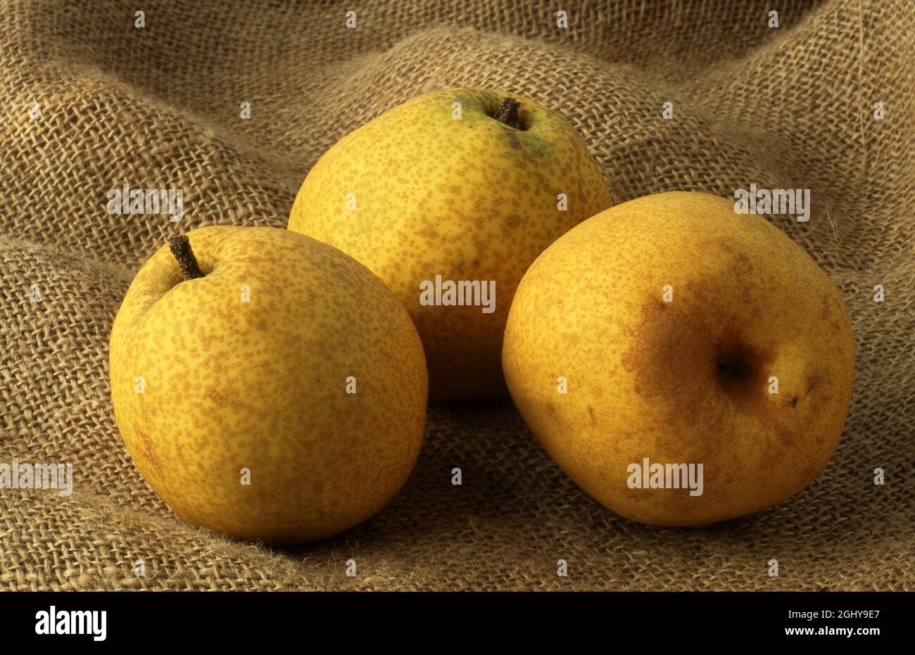 Asian pears hi-res stock photography and images - Alamy