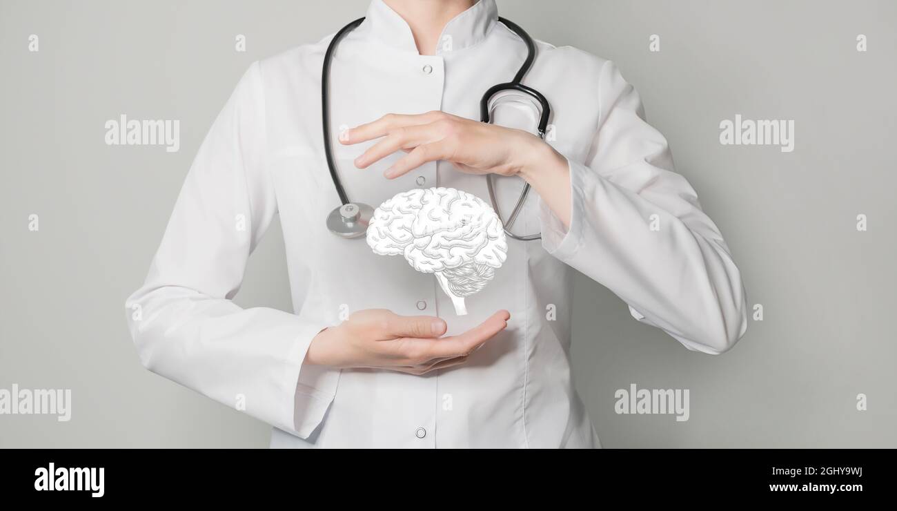 Brain hemorrhage anatomy hi-res stock photography and images - Alamy