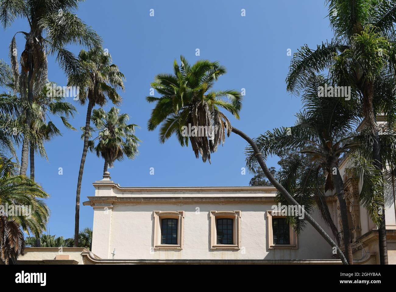 SAN DIEGO, CALIFORNIA - 25 AUG 2021: Palm trees at the Casa del Prado ...