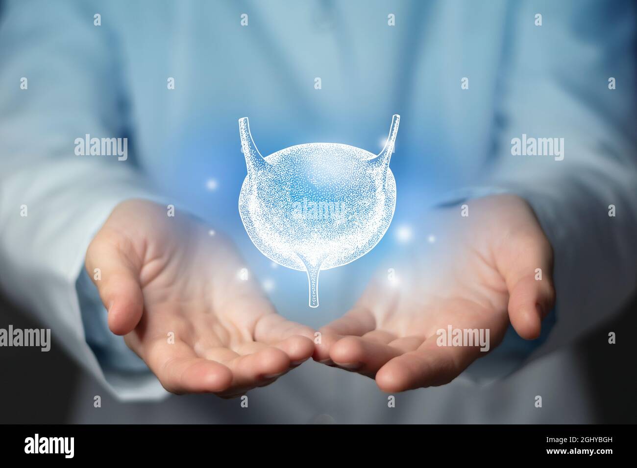 Bladder issues medical concept. Photo of female doctor, empty space ...