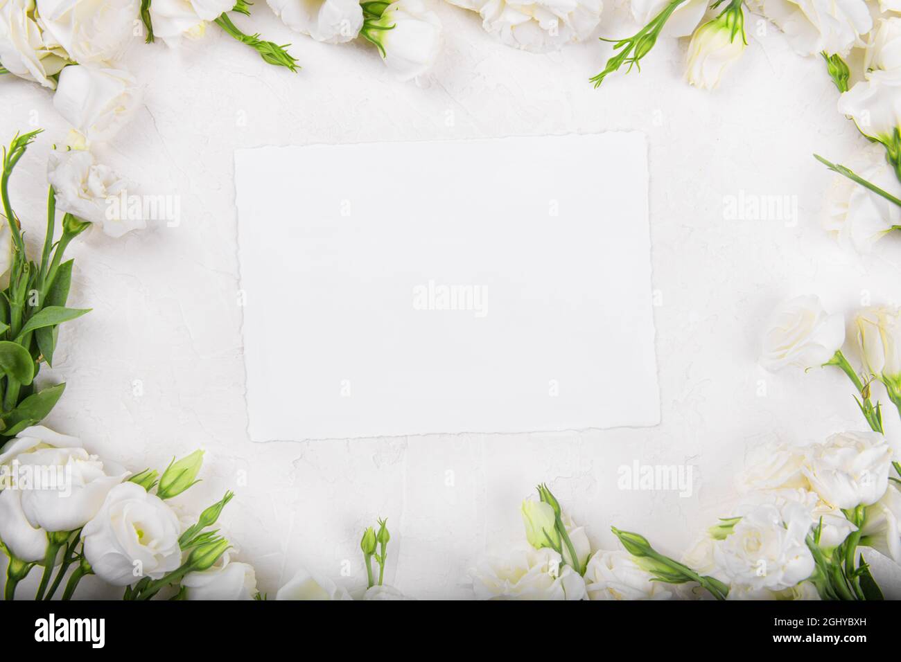 Horizontal empty 7x5 card mockup with blooming white eustoma lisianthus ...
