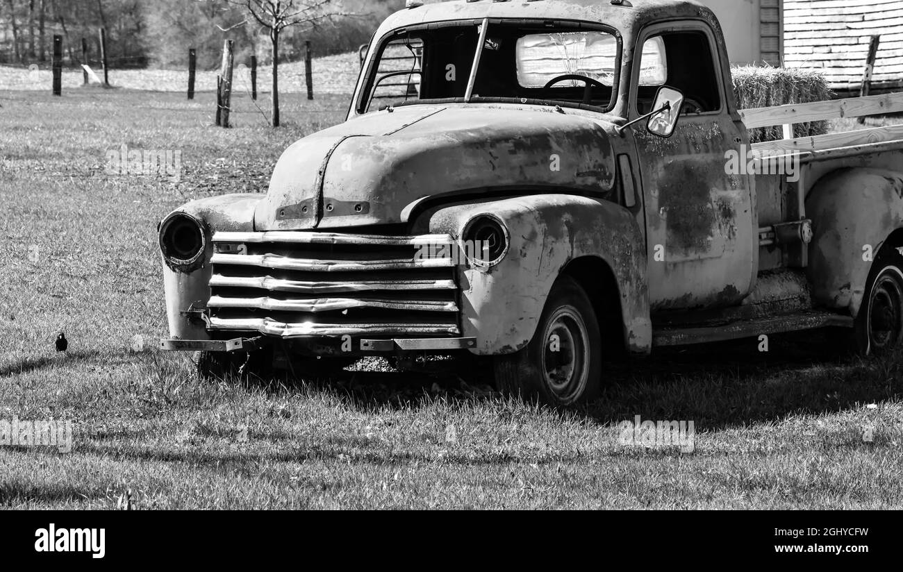 Farm pick Black and White Stock Photos & Images - Alamy