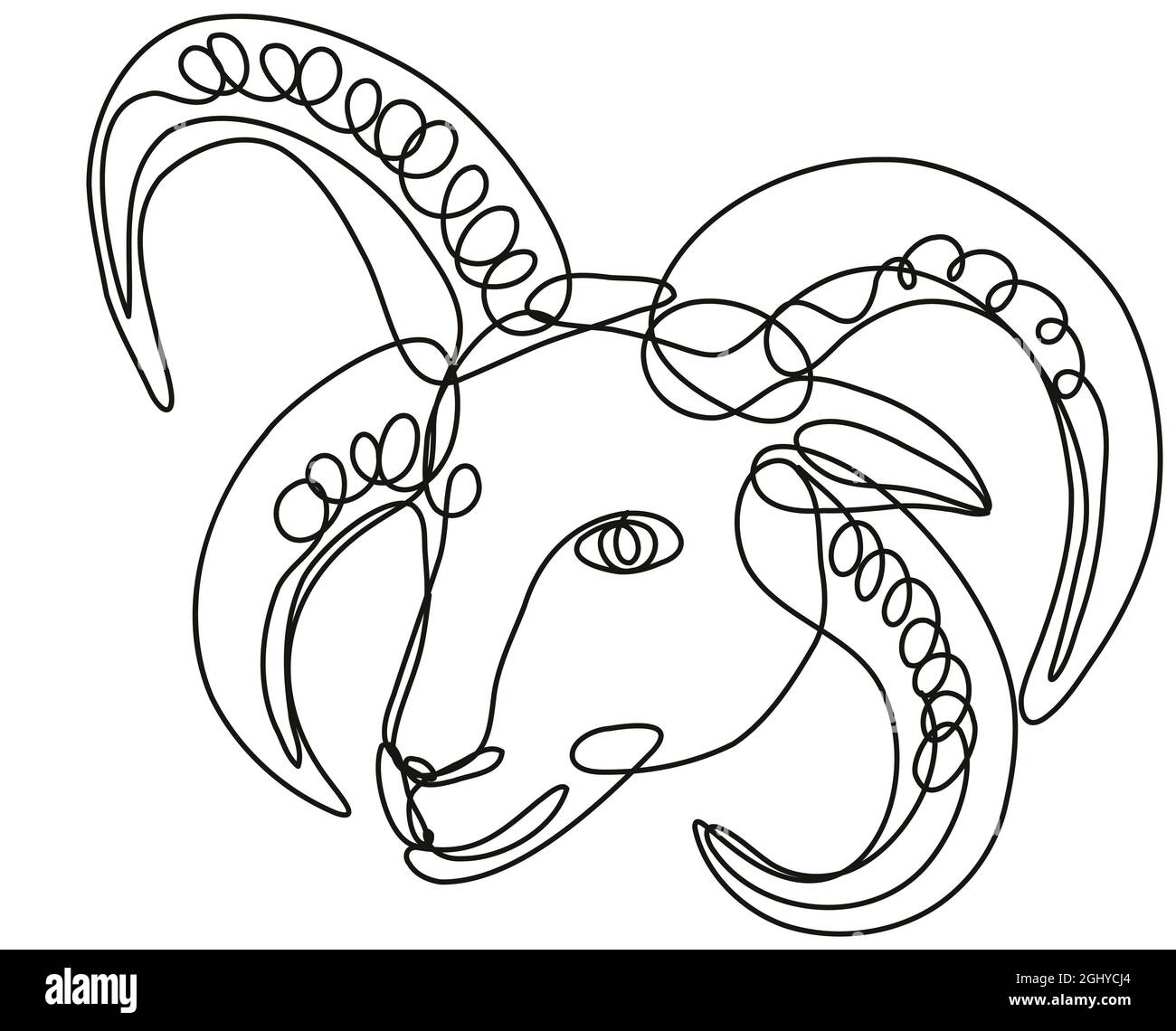 Line drawing sheep hi-res stock photography and images - Alamy