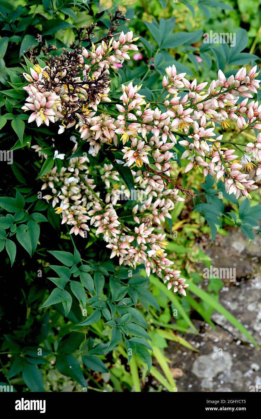Conical base hi-res stock photography and images - Alamy