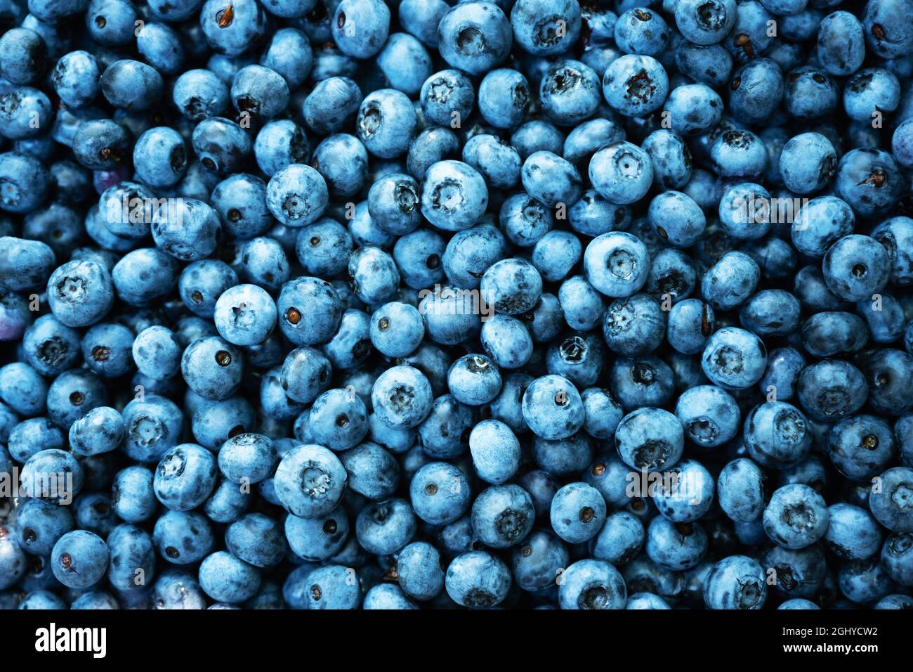 Very sweet blueberries hi-res stock photography and images - Alamy