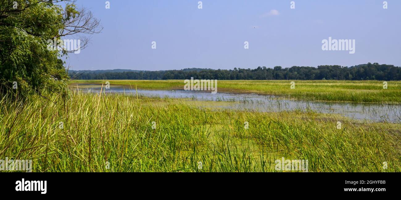 lake water reflections along the shore Stock Photo - Alamy