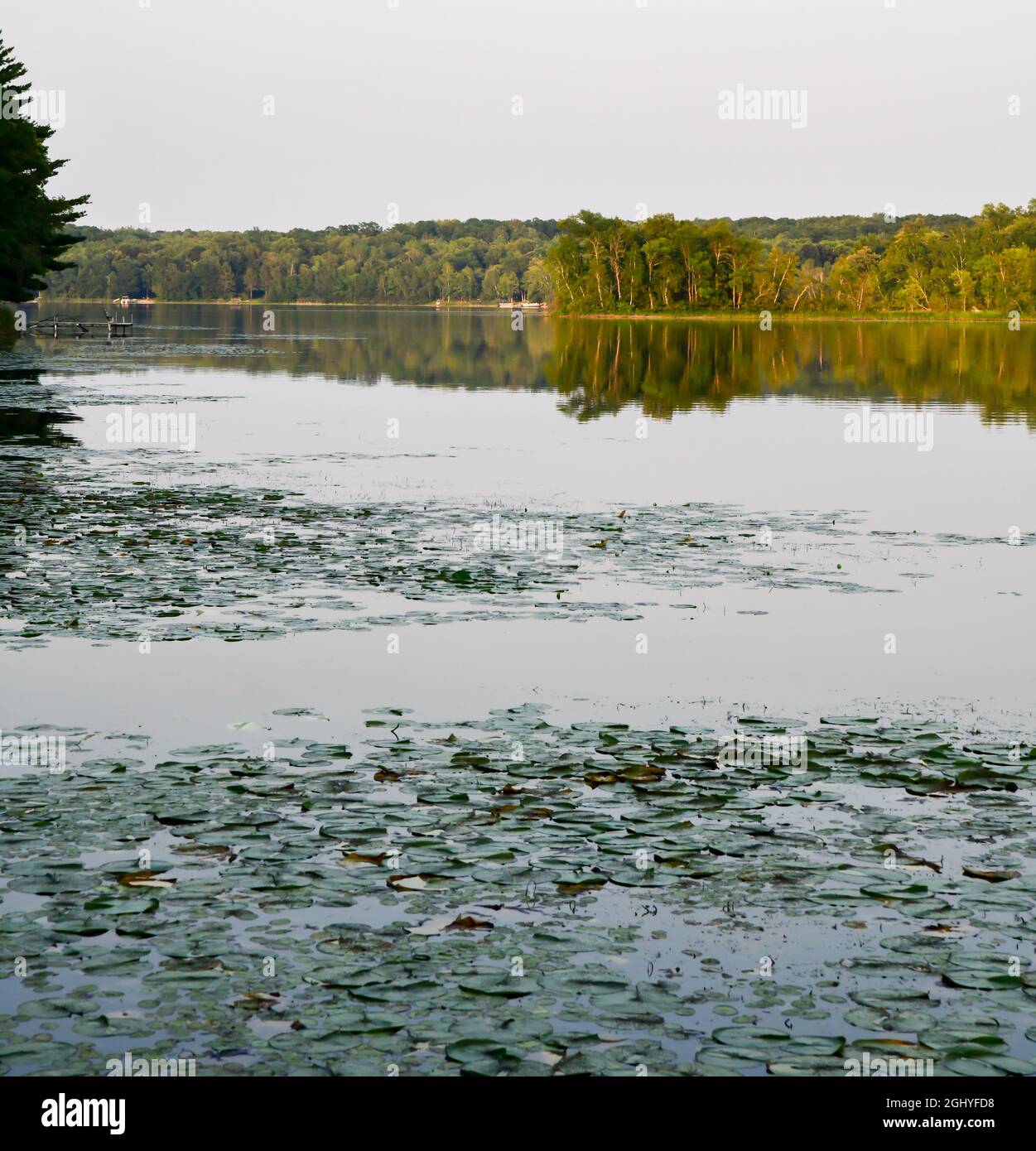 lake water reflections along the shore Stock Photo - Alamy