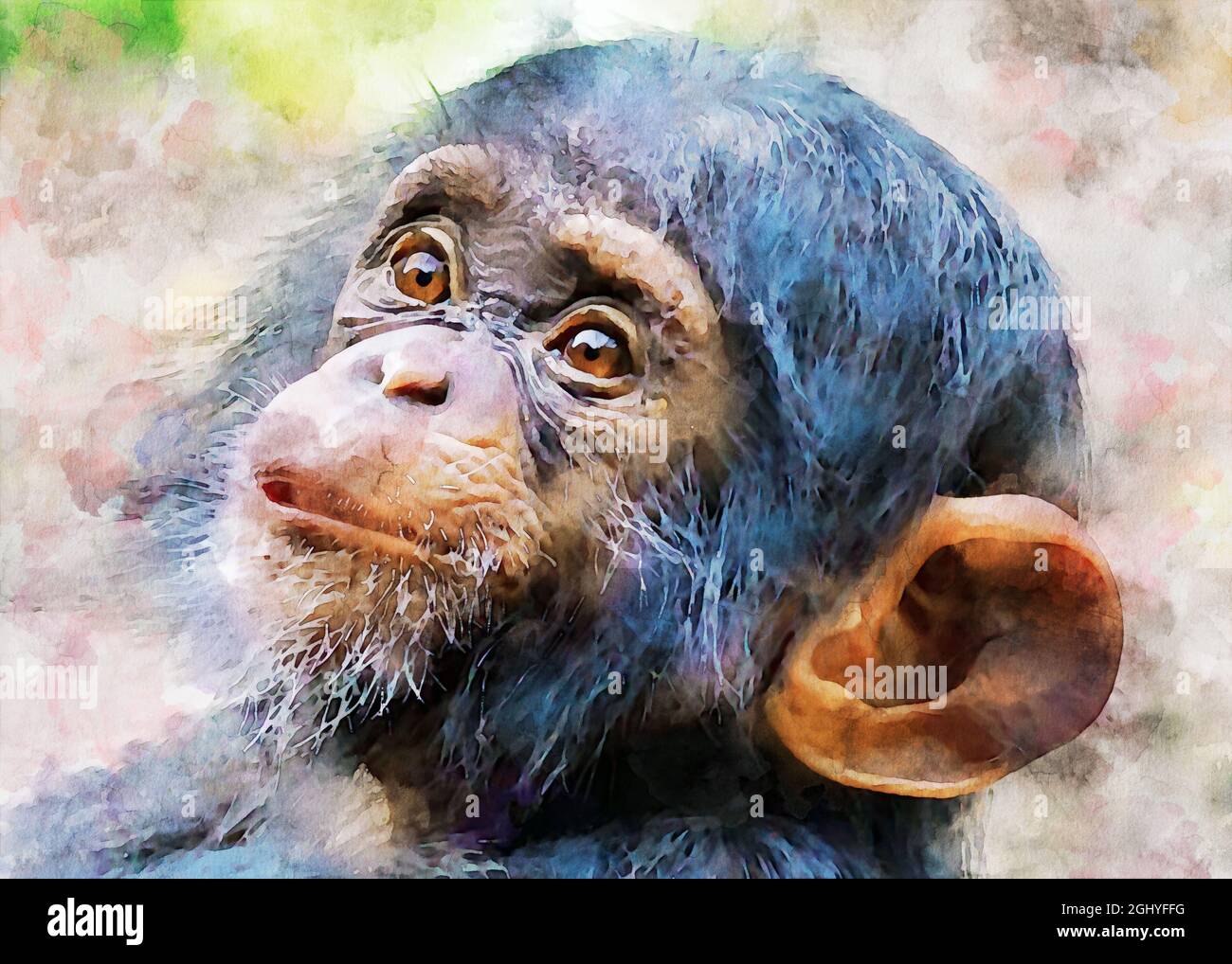 Close up digital watercolor portrait painting of a cute baby chimpanzee ...