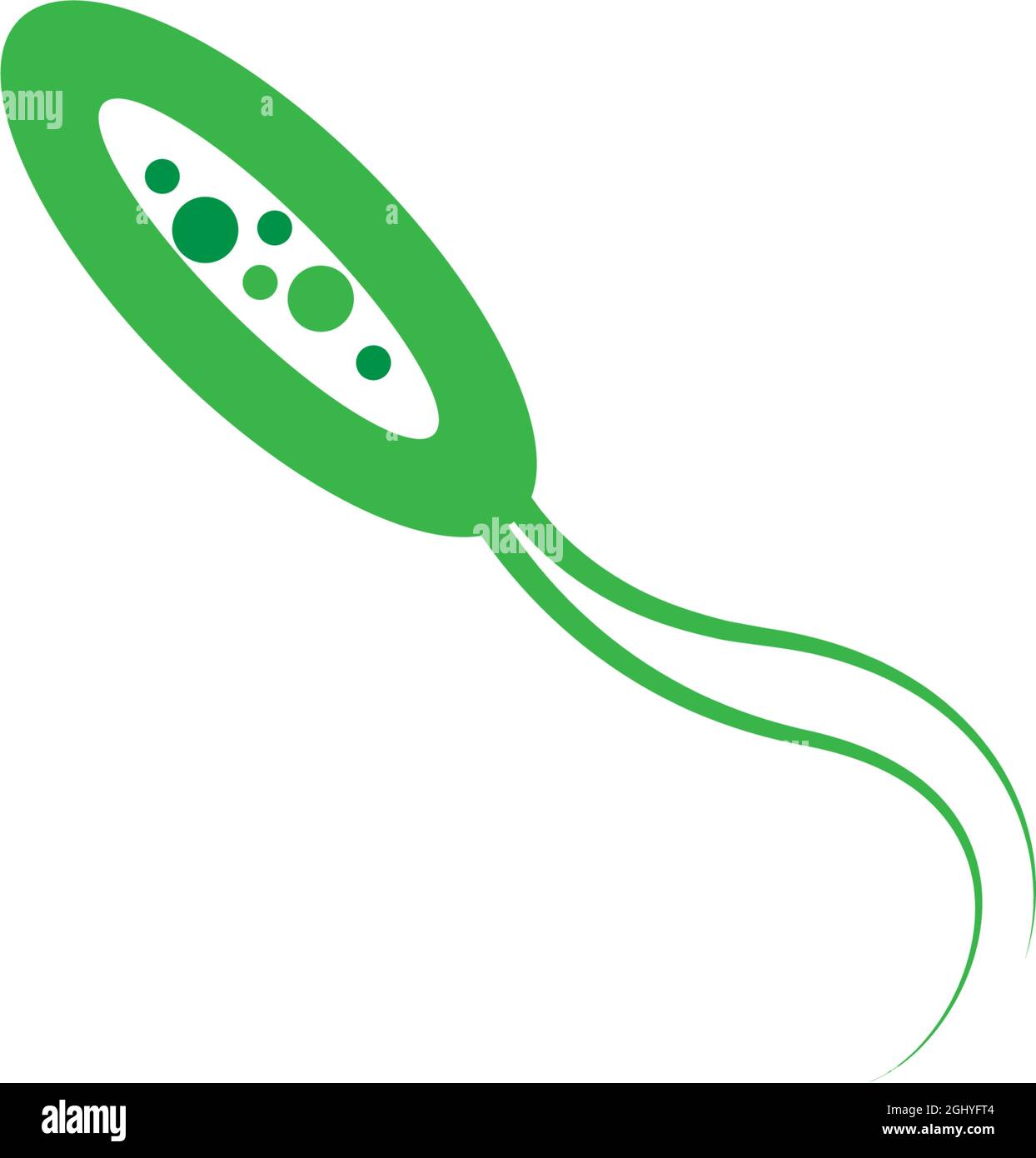 Bacterial Probiotic icon vector flat design template Stock Vector Image ...