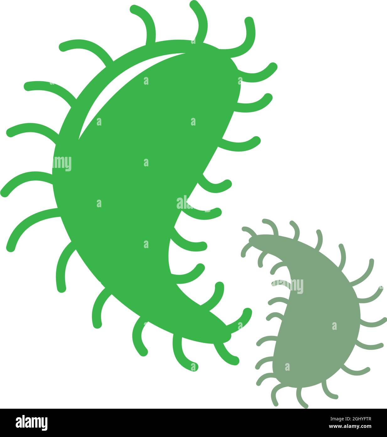 Lactic acid bacteria Stock Vector Images - Alamy