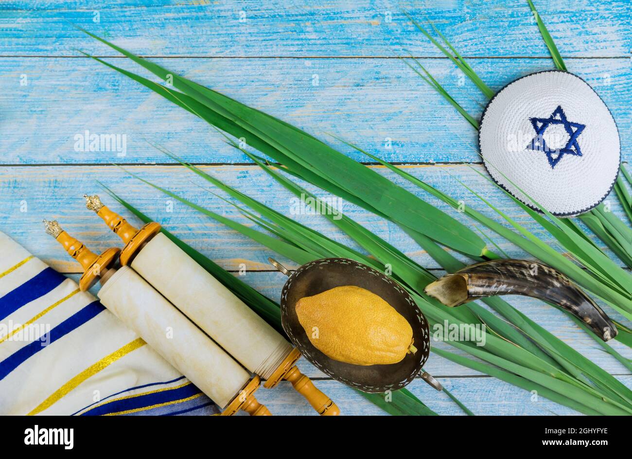 Sukkot in lulav, hadas, arava of traditional symbols religion of Jewish ...