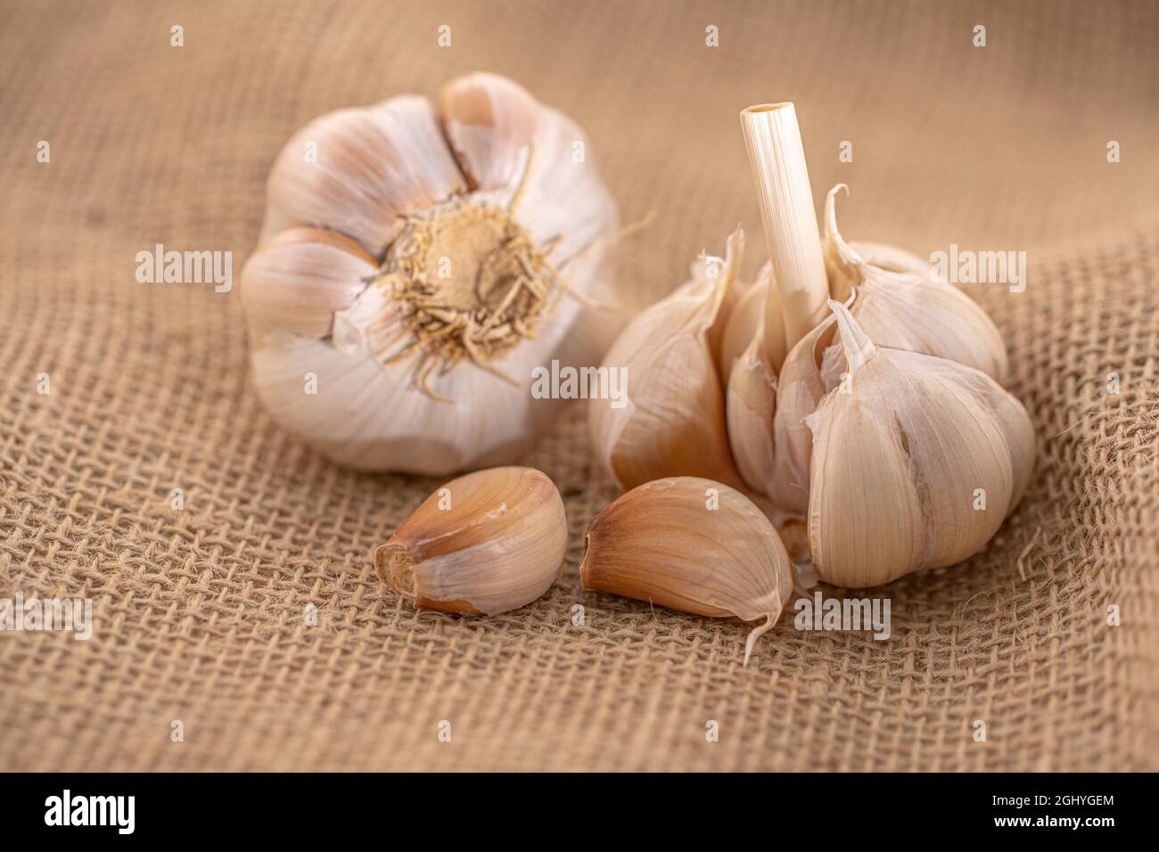 garlic isolated on fabric background Stock Photo - Alamy
