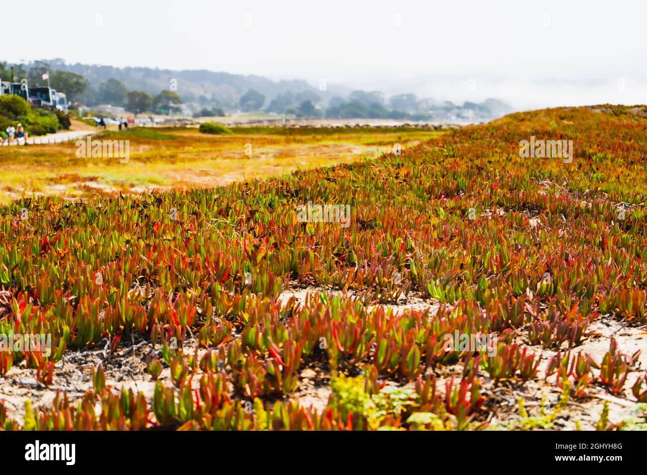 Half moon bay park hi-res stock photography and images - Alamy