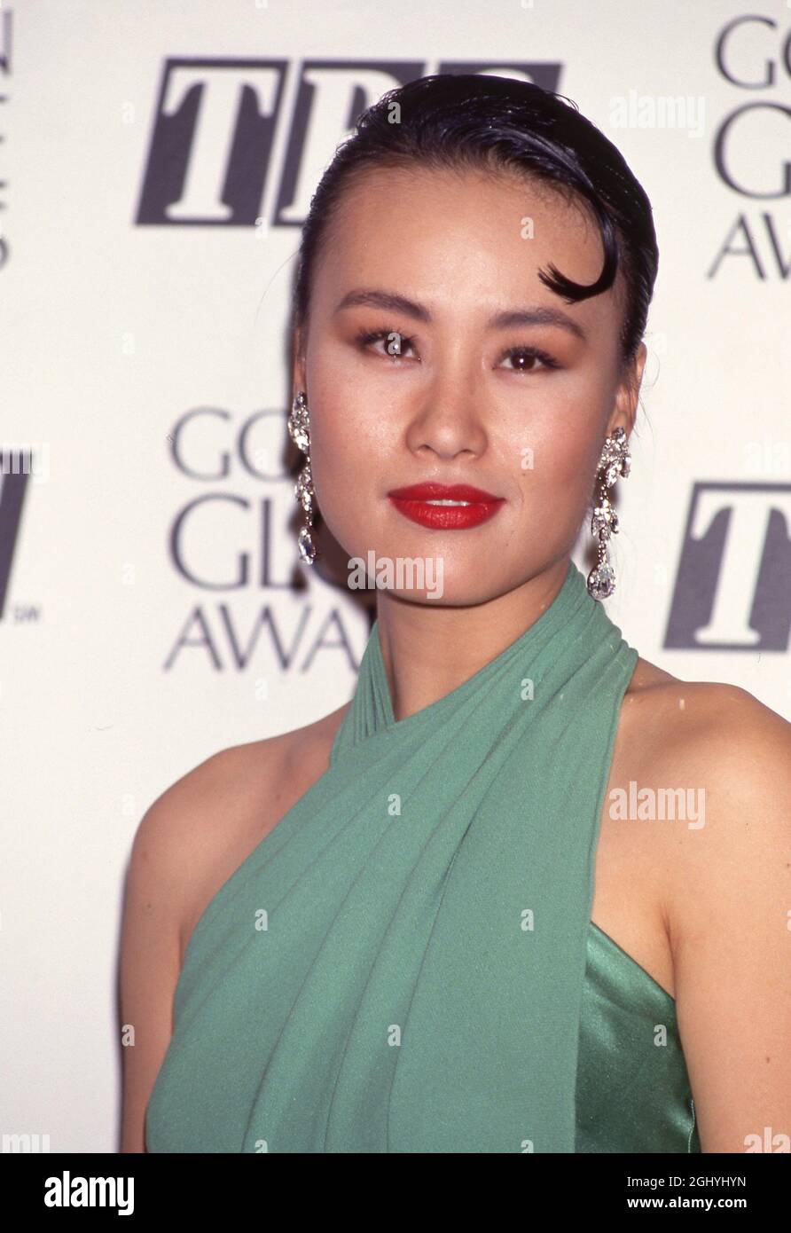 Vivian Lu at the 51st Golden Globe Awards at the Beverly Hilton Hotel ...