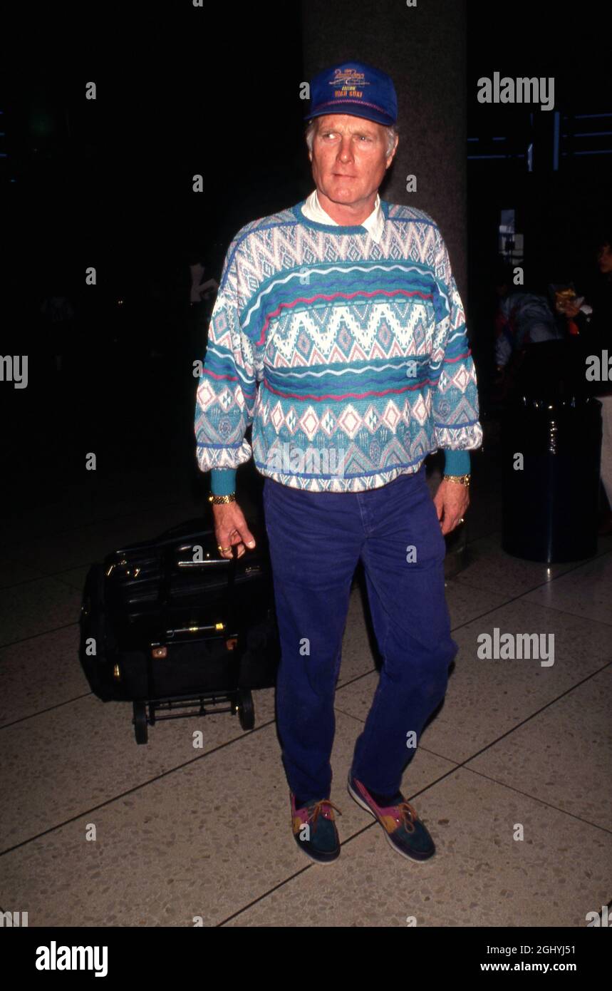 Mike Love Circa 1980's . Credit: Ralph Dominguez/MediaPunch Stock Photo ...