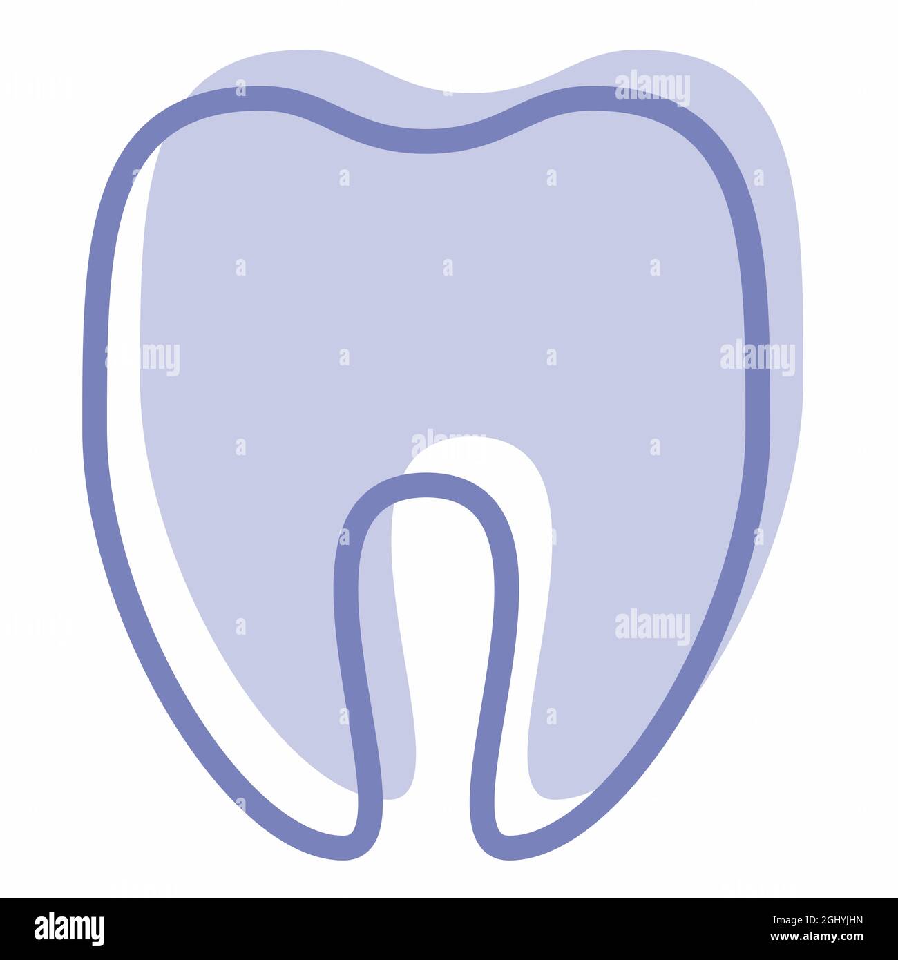 Two human teeth Stock Vector Images - Alamy
