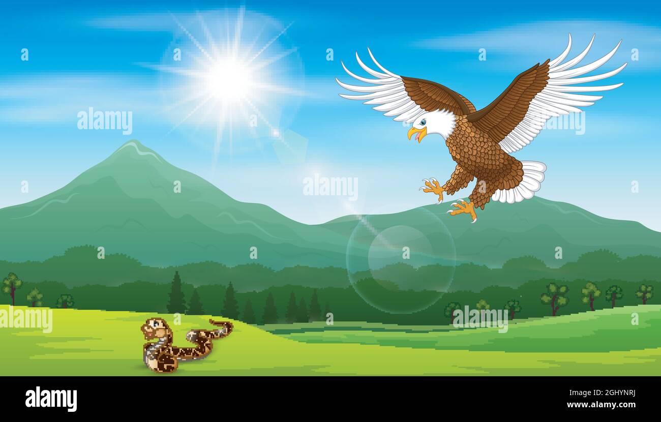 Snakes eagle hi-res stock photography and images - Alamy