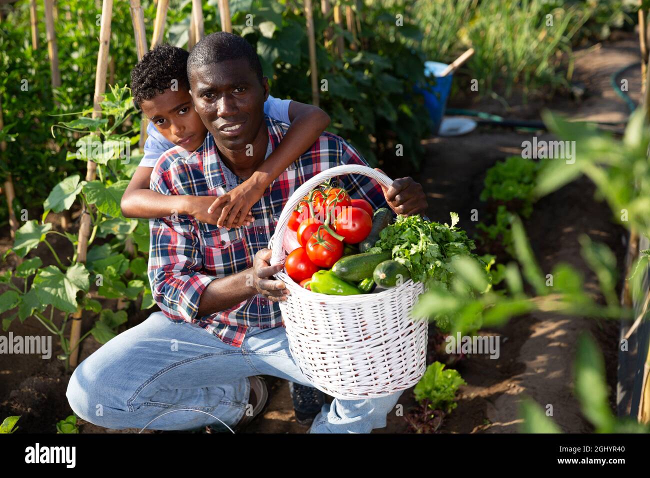 Happy family with harvest of vegetables in the garden Stock Photo - Alamy