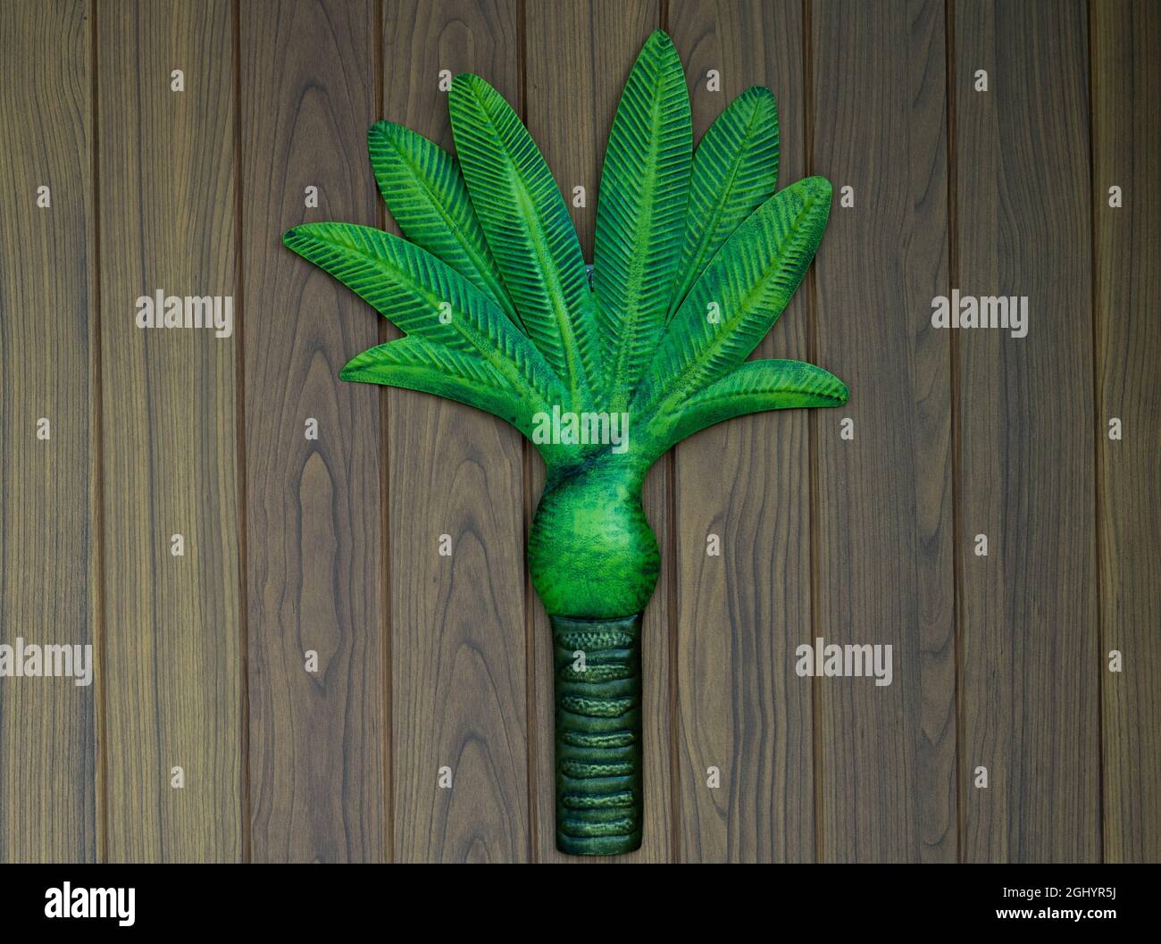 Nikau tree hi-res stock photography and images - Alamy