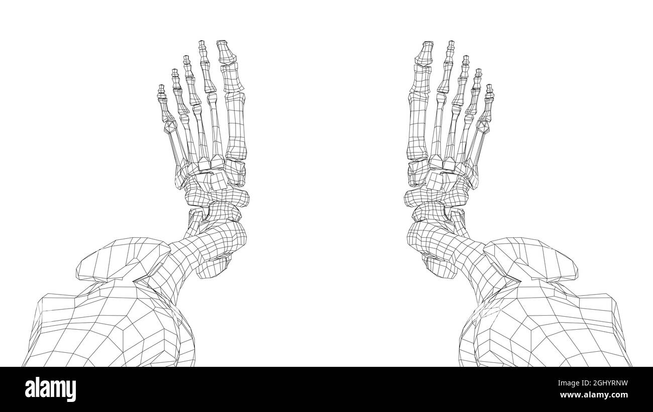 Human skeleton. Vector Stock Vector Image & Art - Alamy