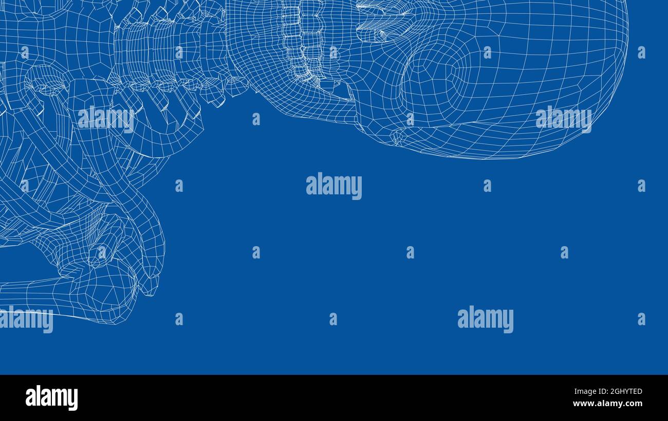 Human skeleton. Vector Stock Vector Image & Art - Alamy