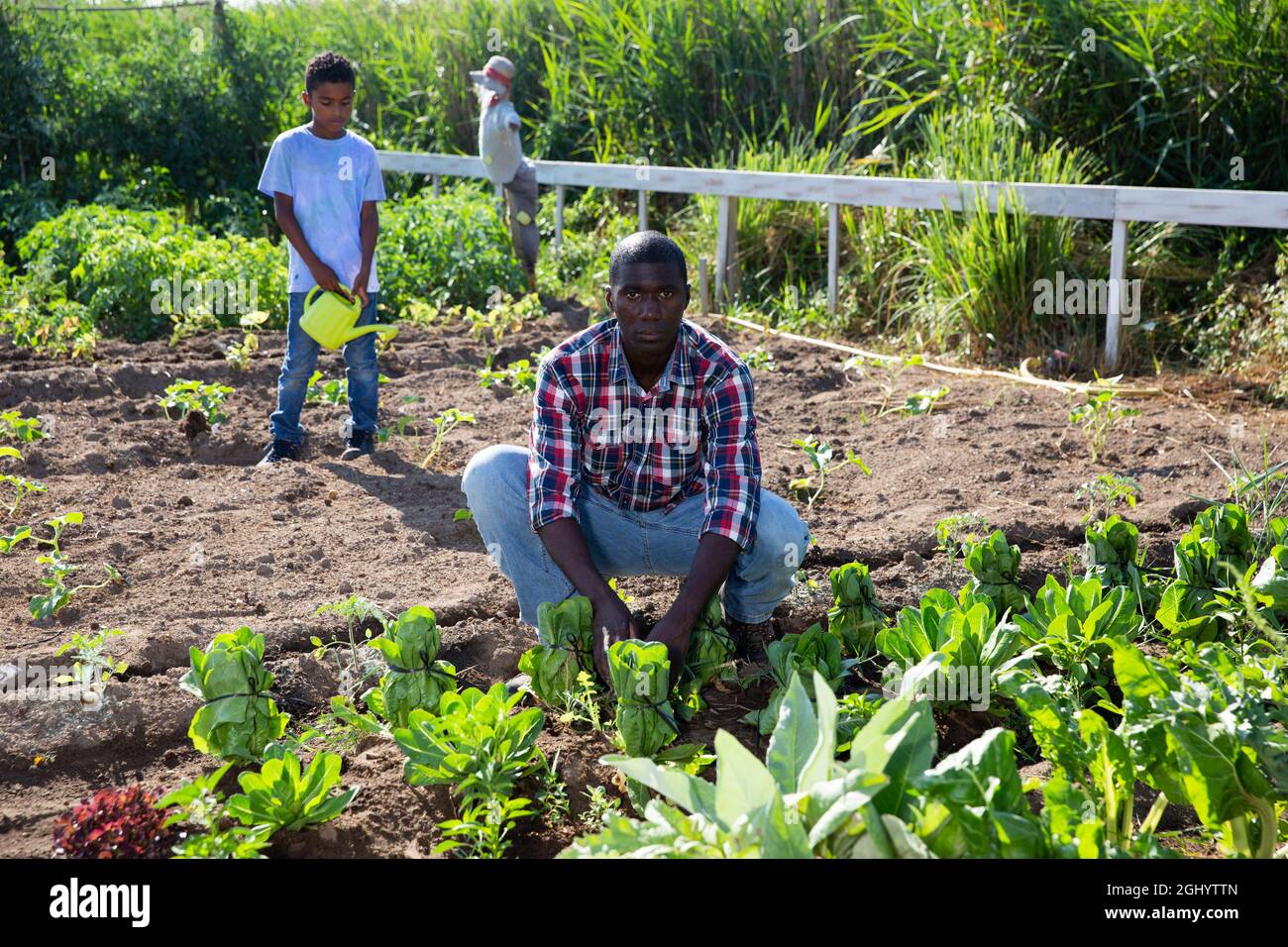 Teen son helps his father work in the garden Stock Photo - Alamy