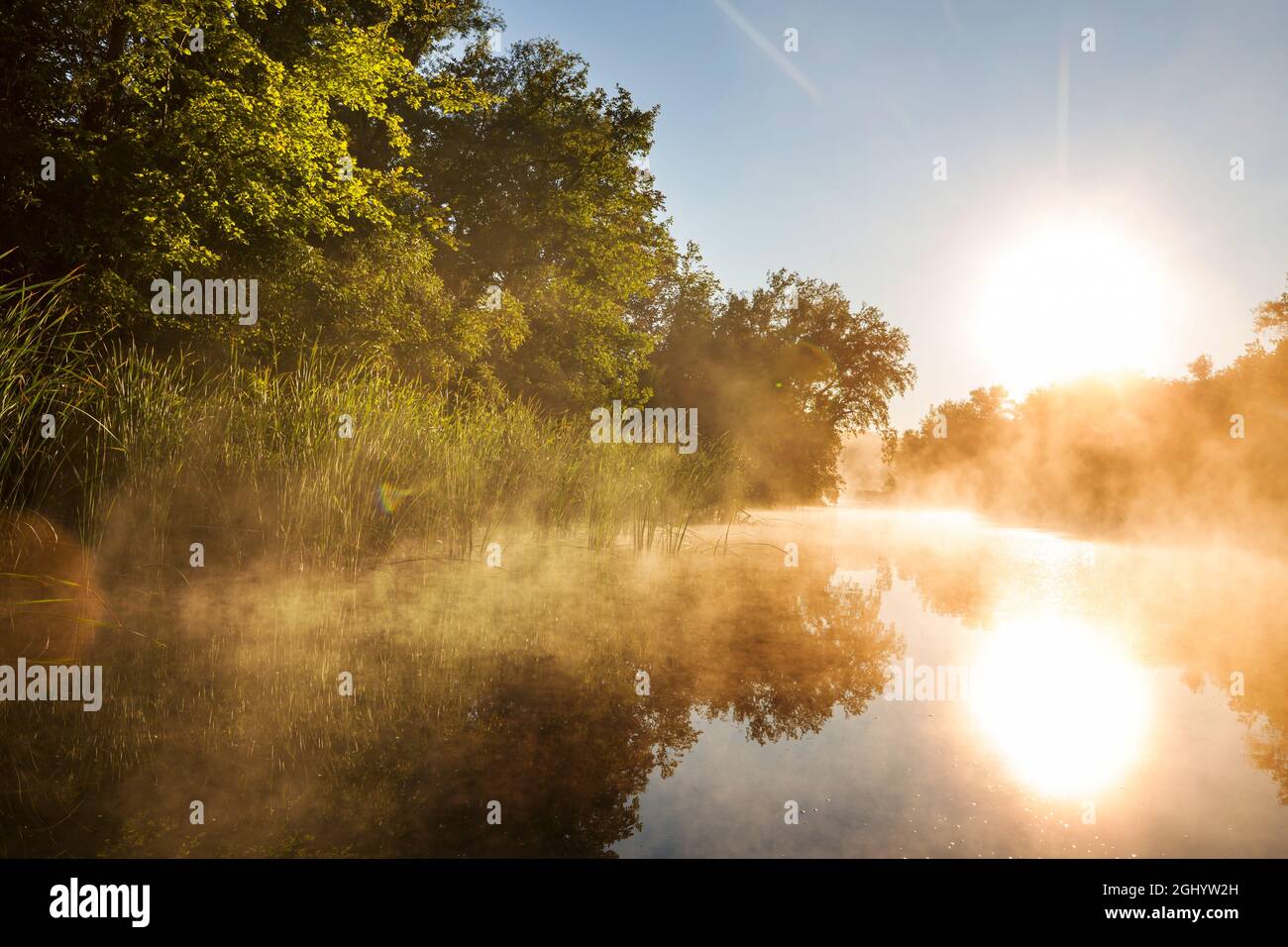 Unusual river fog in summer season Stock Photo - Alamy