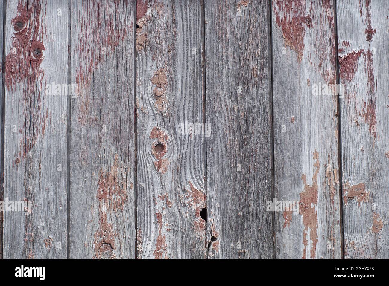 Scaled texture hi-res stock photography and images - Alamy