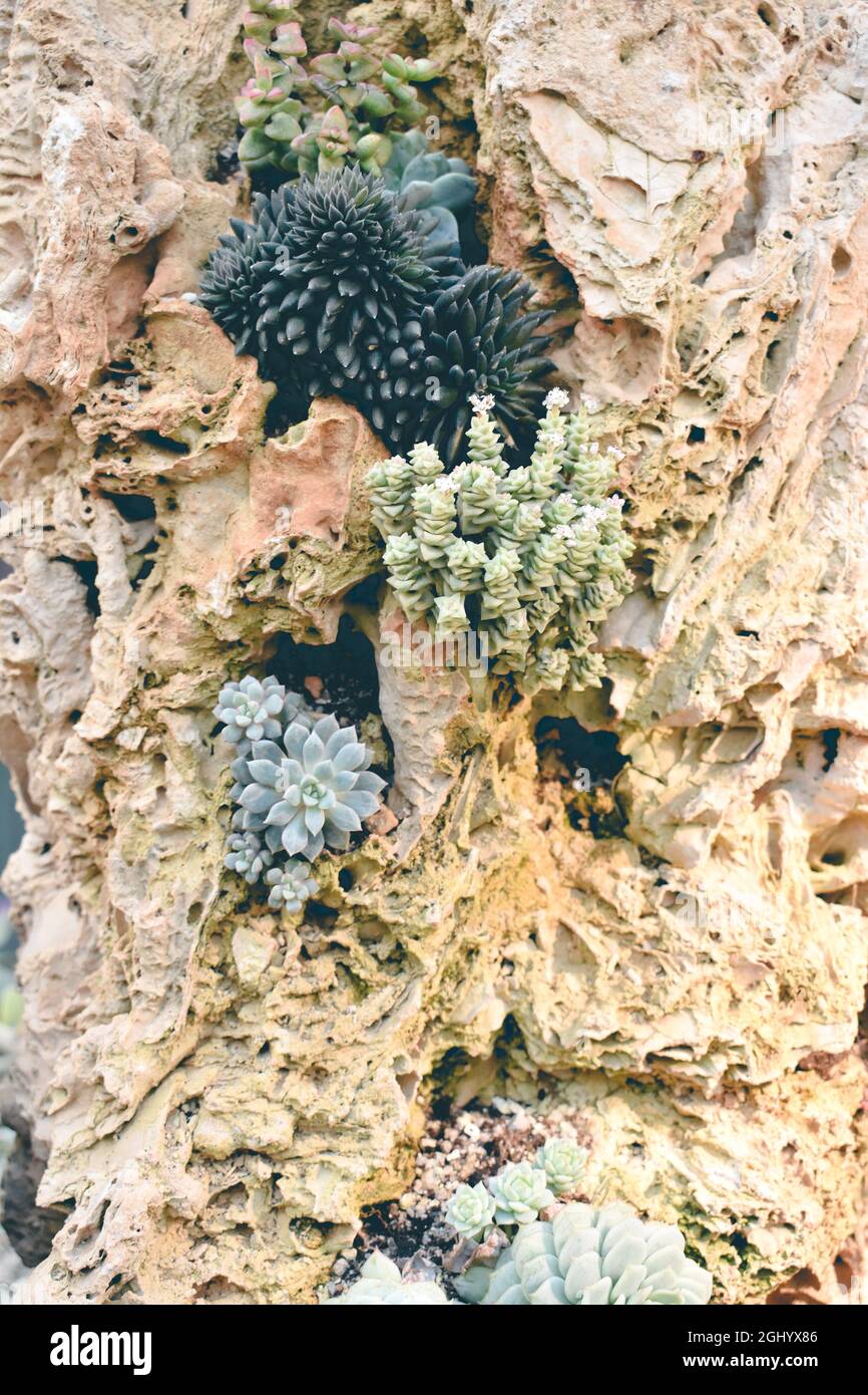 Small rock patterns hi-res stock photography and images - Alamy