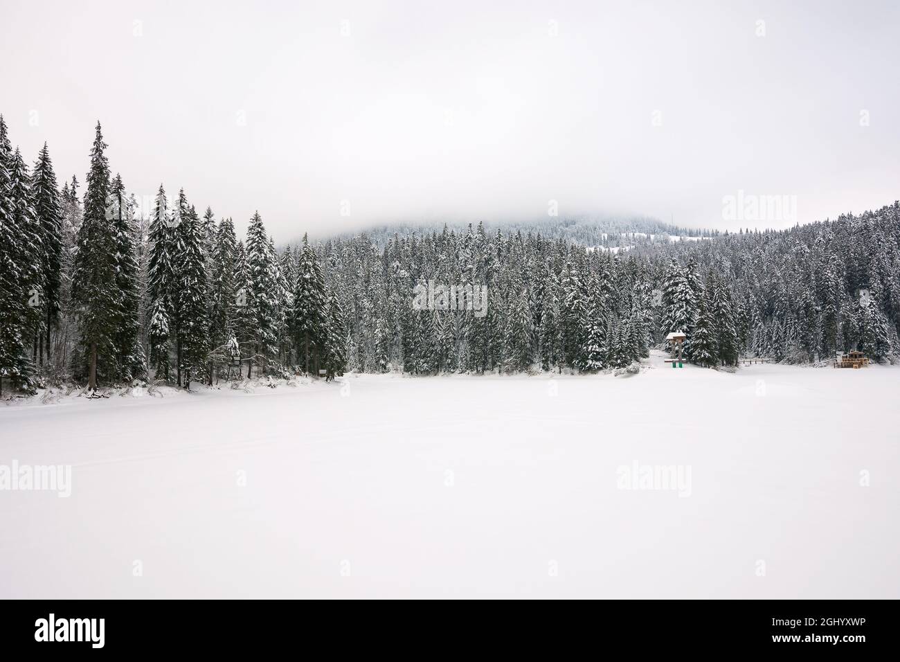 winter scenery in mountains. gloomy landscape with spruce forest on a cloudy day. frozen lake ...