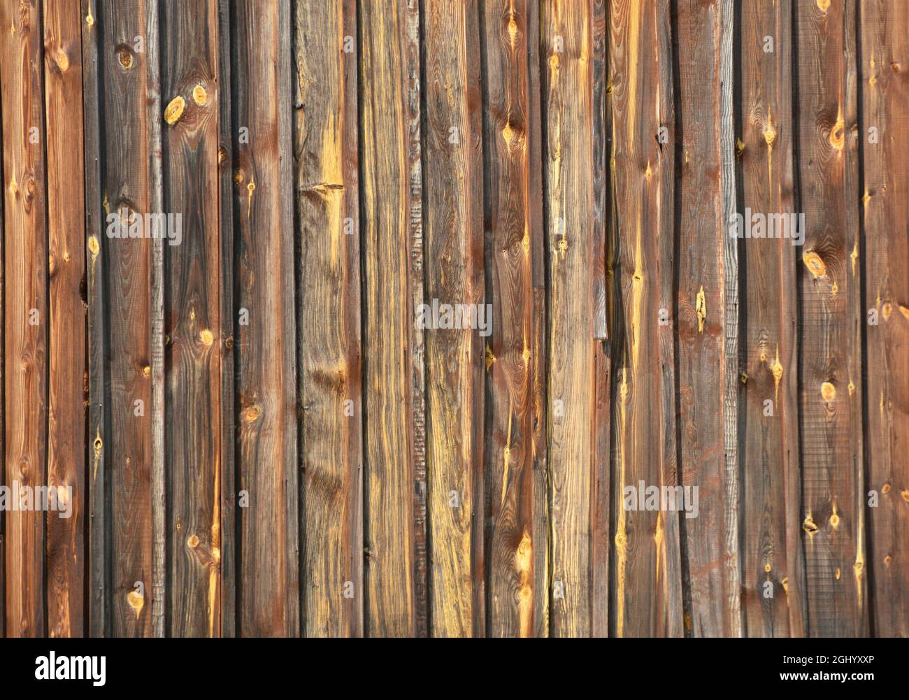 Brown vintage wooden knotty boards background Stock Photo - Alamy