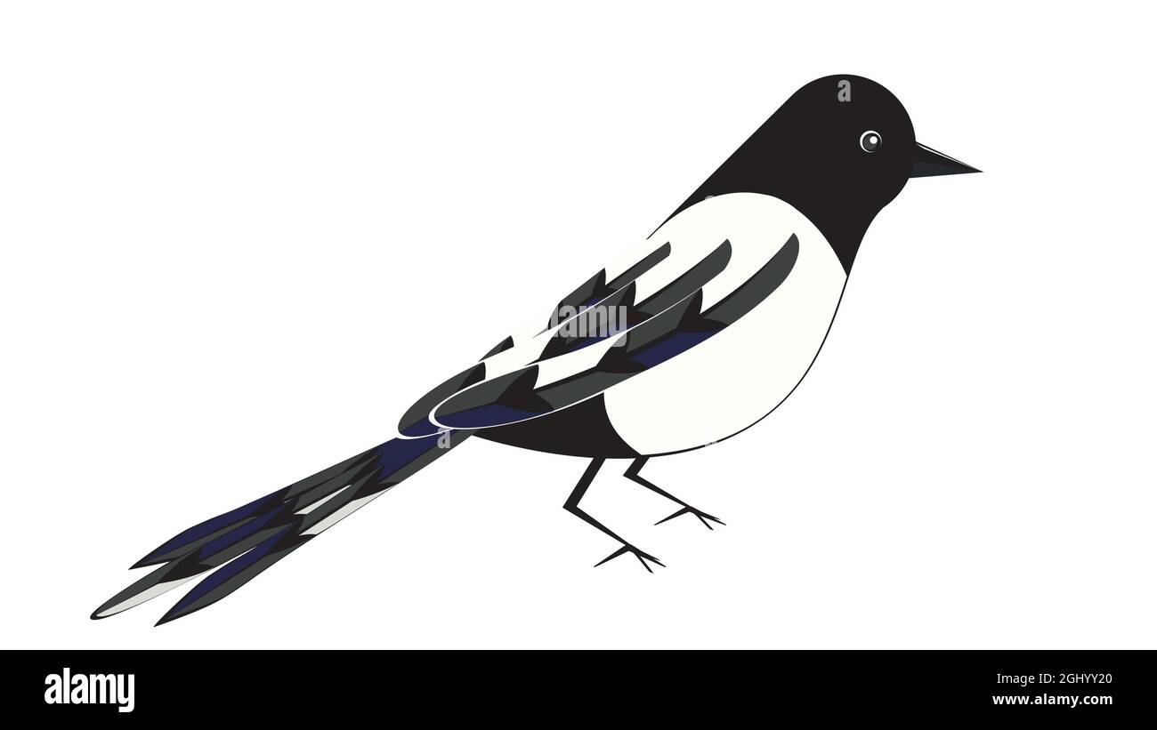 Abstract cartoon wild bird, black white magpie illustration Stock ...
