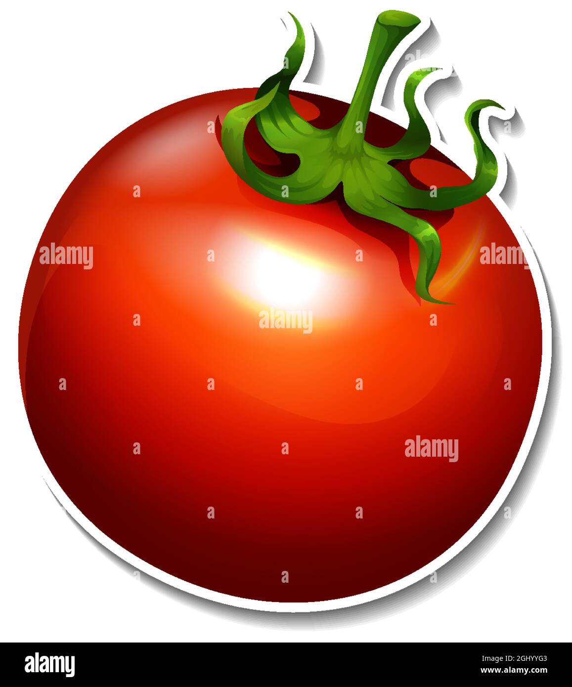 Tomato sticker on white background illustration Stock Vector Image ...