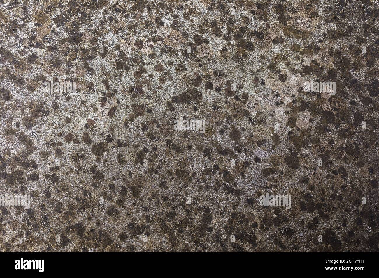 Background from a concrete texture with mold Stock Photo - Alamy