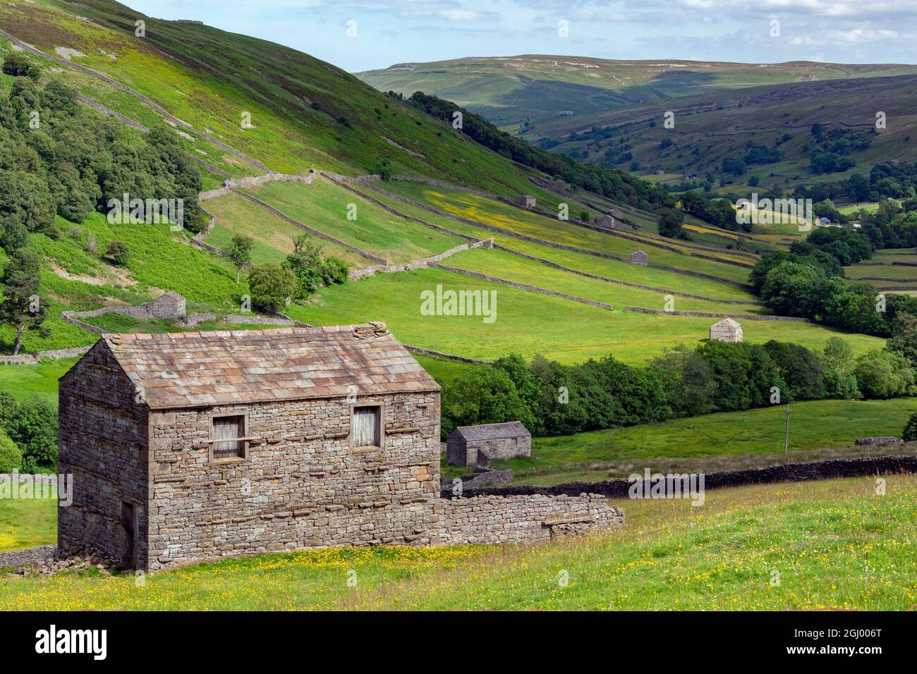 Traditional dry-stone walls and barns in the farmland of the Yorkshire ...
