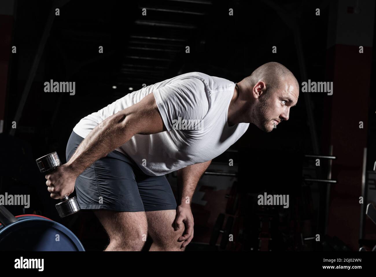 Male bodybuilder engaged with dumbbells in the gym Stock Photo - Alamy