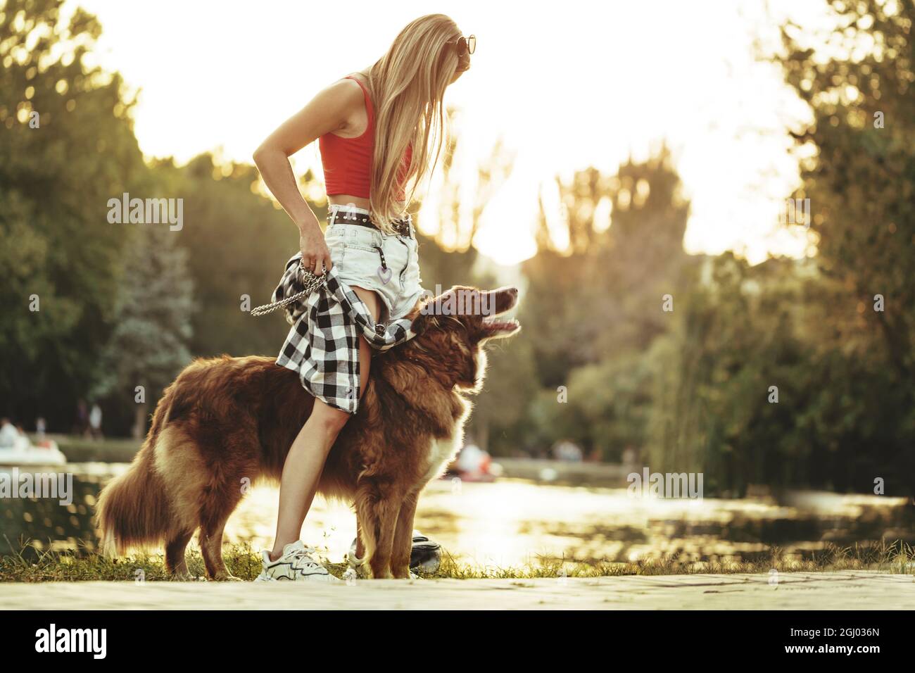 Border Collie dog on a walk in park with it's female owner Stock Photo ...