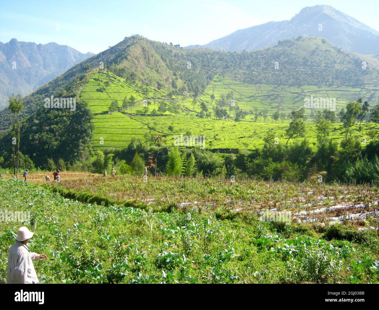 Landscape of DIeng Plateau Stock Photo - Alamy