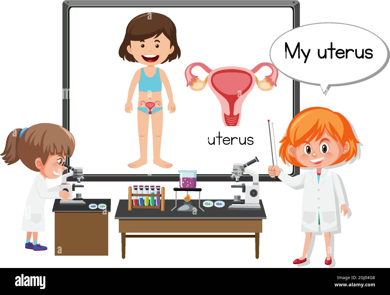 Young doctor explaining uterus anatomy illustration Stock Vector Image ...