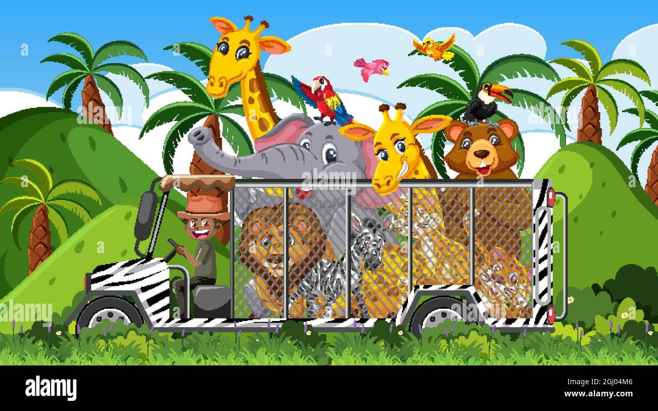 Safari scene at daytime with wild animals on the tourist car ...