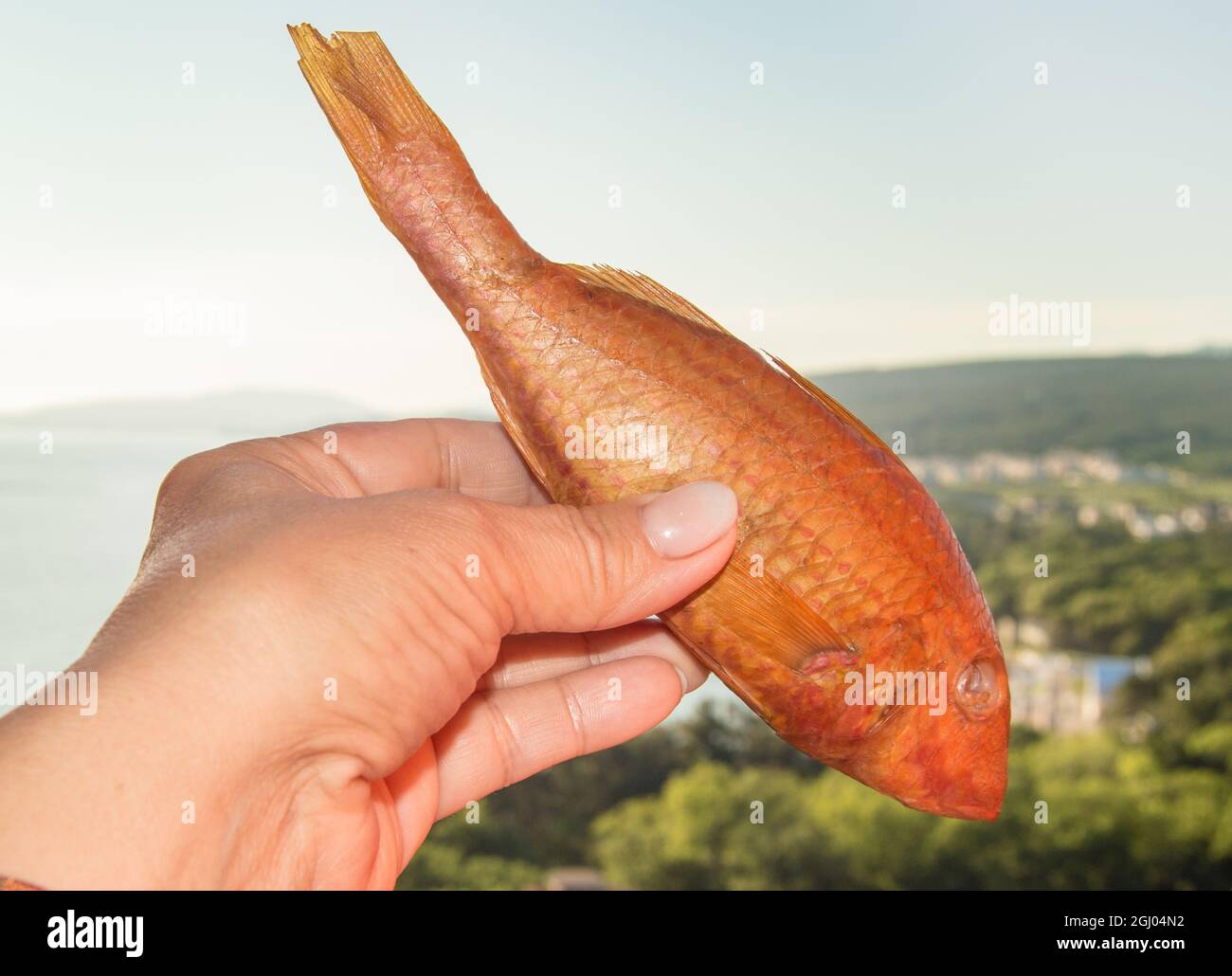A woman's hand holds a fried lamb fish on the background of a seascape ...
