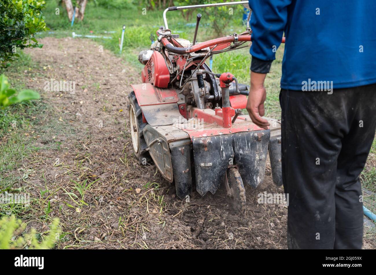 Agriculturist driving tractor shoveling the soil in plantation Stock ...