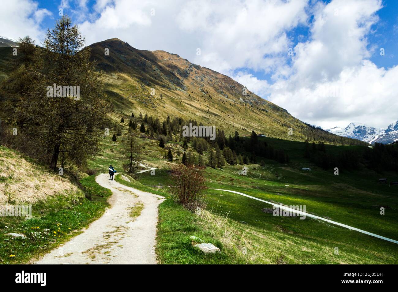 Mountain pathway in the italian Alps in Valle d'Aosta on the trail ...