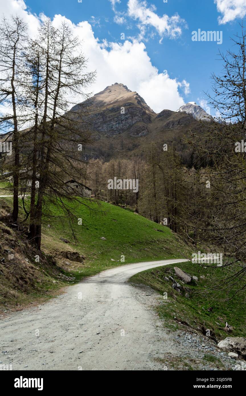 Mountain pathway in the italian Alps in Valle d'Aosta on the trail ...