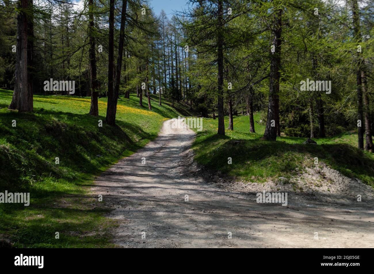 Mountain pathway in the italian Alps in Valle d'Aosta on the trail ...