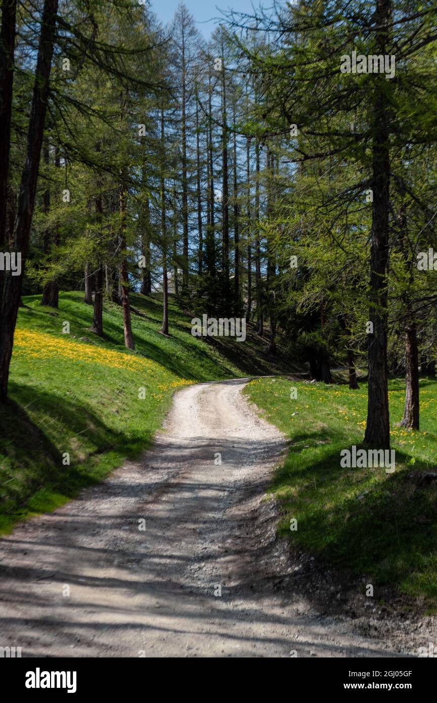 Mountain pathway in the italian Alps in Valle d'Aosta on the trail ...