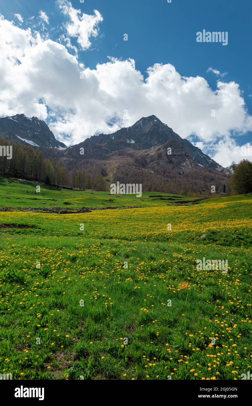 Monte rosa rando hi-res stock photography and images - Alamy