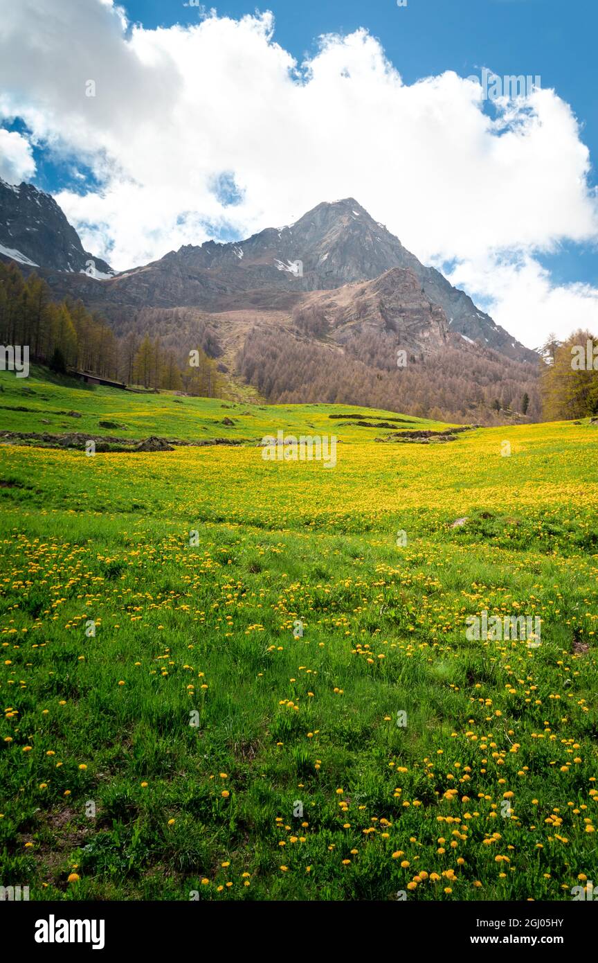 Monte rosa rando hi-res stock photography and images - Alamy